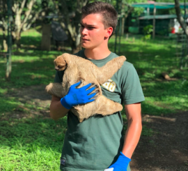 10 Best Costa Rica Summer Programs for High School Students