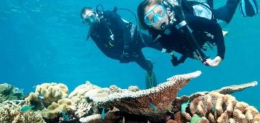 Marine Conservation Volunteer Programs Abroad | GoAbroad.com