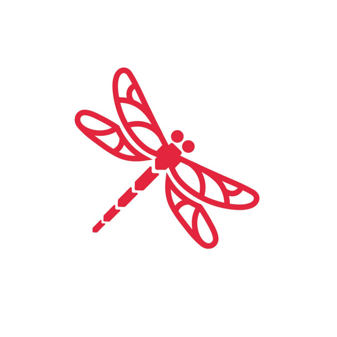 Project Dragonfly, Miami University Programs
