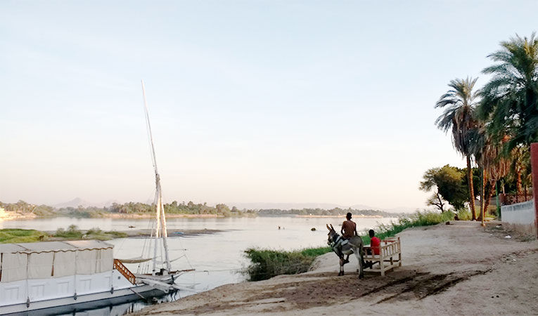 Peter Liddiard | Arabeya Language Center Alumni Interview