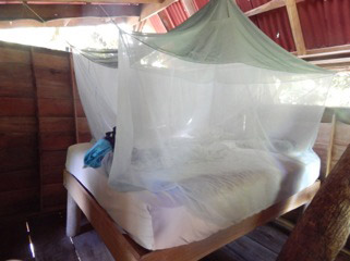 Margo Bailey | Sol Education Abroad Alumni Interview