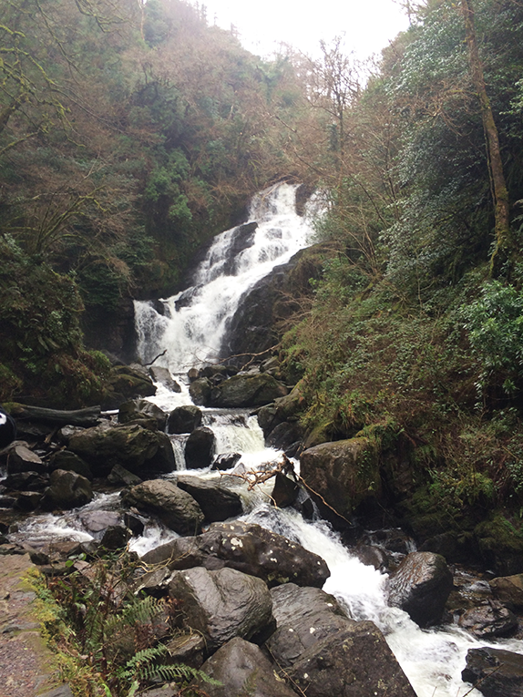 Allison Waymire | American Institute For Foreign Study