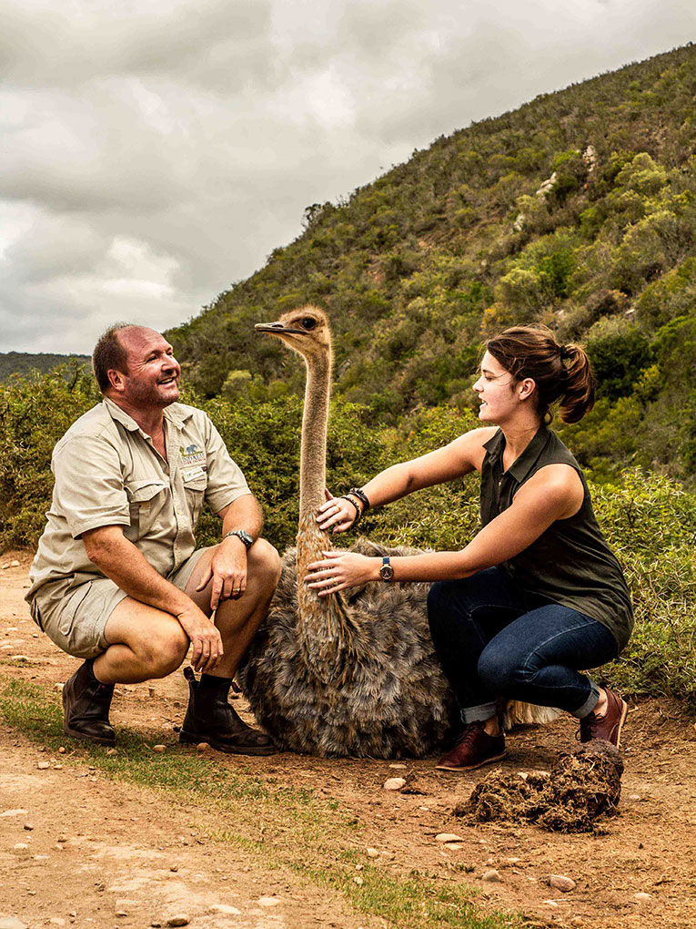Shane Van Der Westhuizen Interview