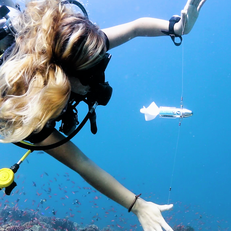 Zara Ellis | Gili Shark Conservation Staff Interview