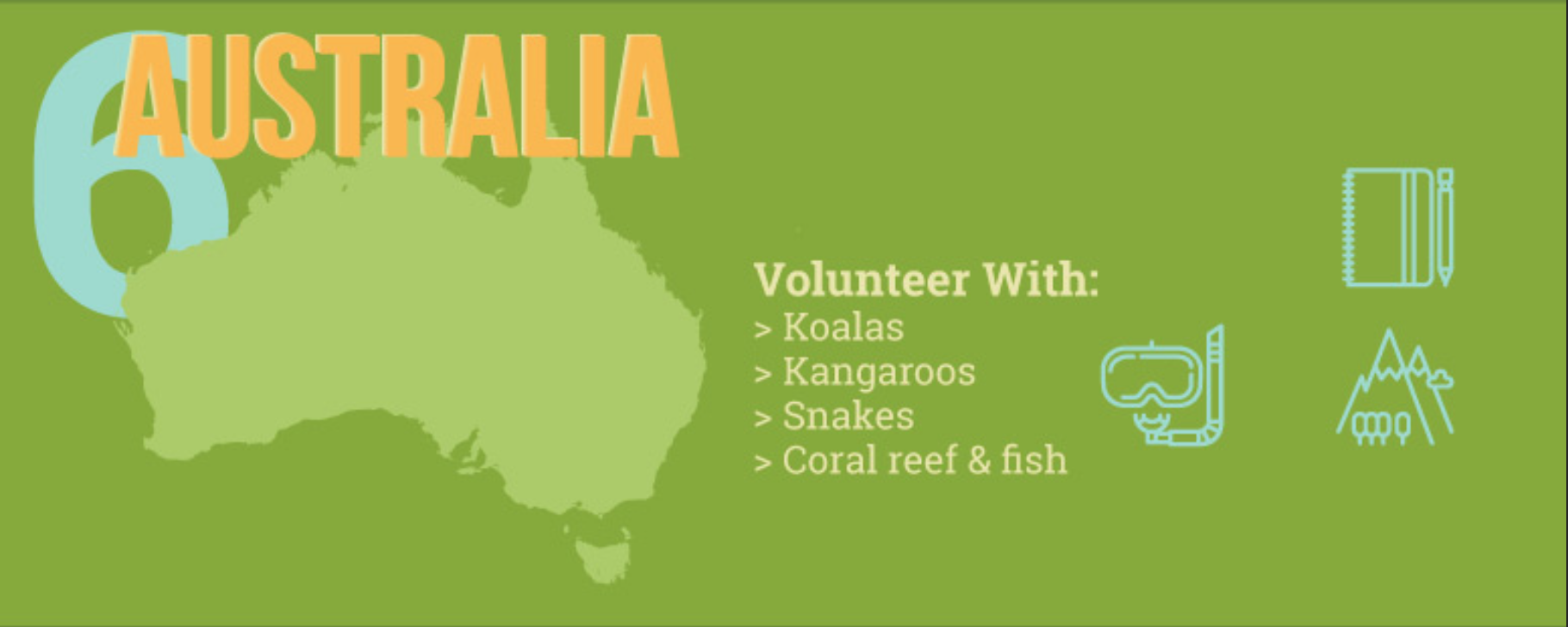 Volunteer with Animals Abroad in These 6 Countries