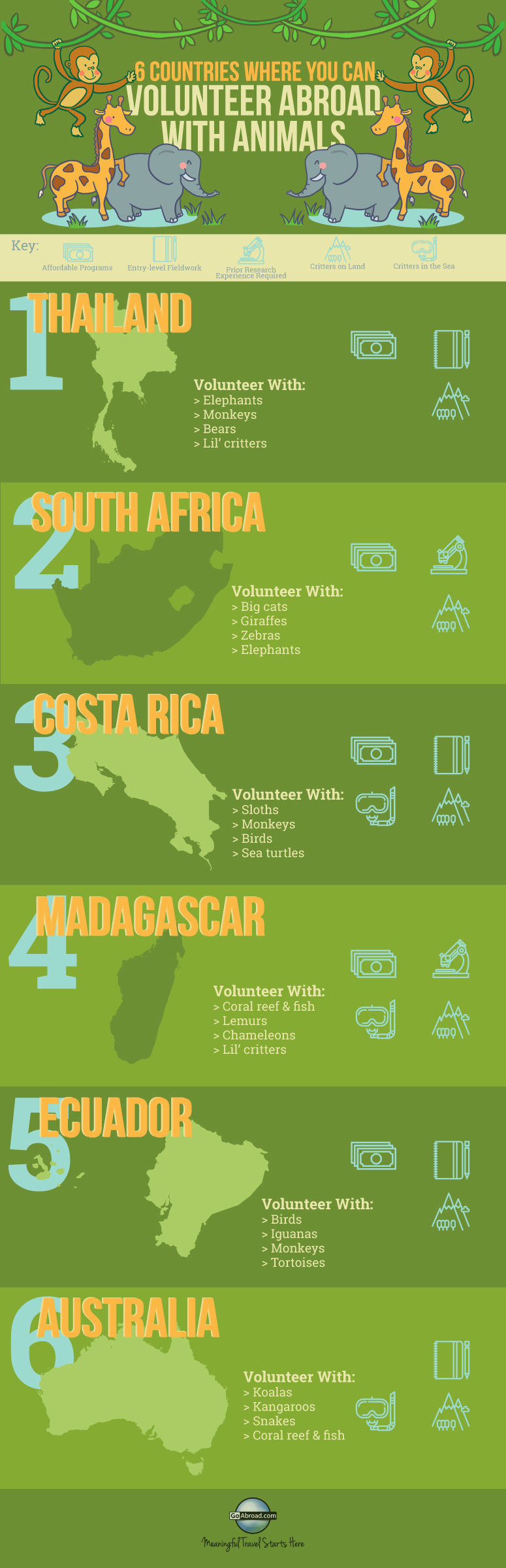 Volunteer with Animals Abroad in These 6 Countries