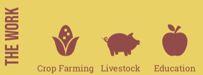 5 Ways to Work on a Farm Abroad | GoAbroad.com