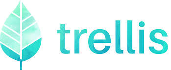 Summer Teaching Abroad Programs: Pros & Cons to Consider