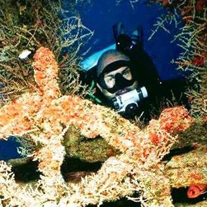 Gary Ward | Caribbean Reef Buddy Staff Interview 2020