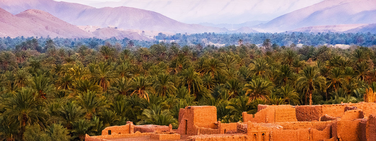 9 Essential Tips for Studying Abroad in Morocco