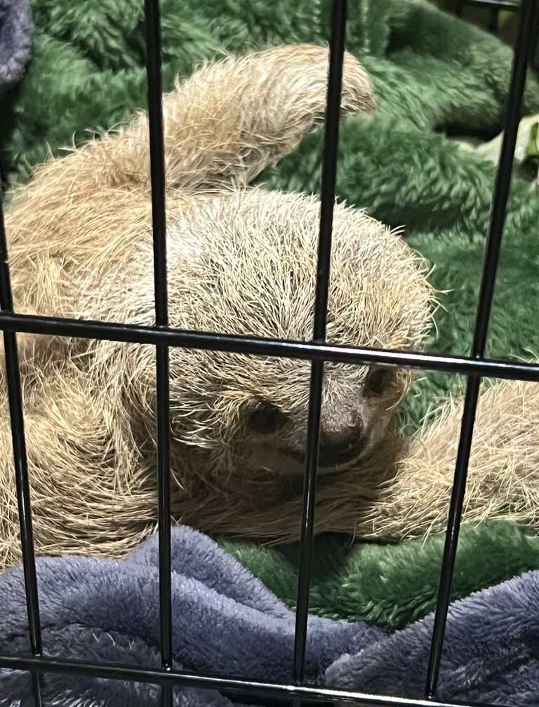 Liam Anderson | Global Work & Travel Staff Interview