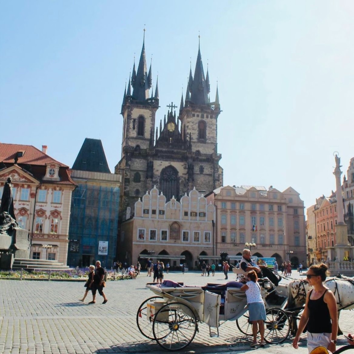 Michael Salib | LEOlingo - South (Bavaria) Alumni Interview