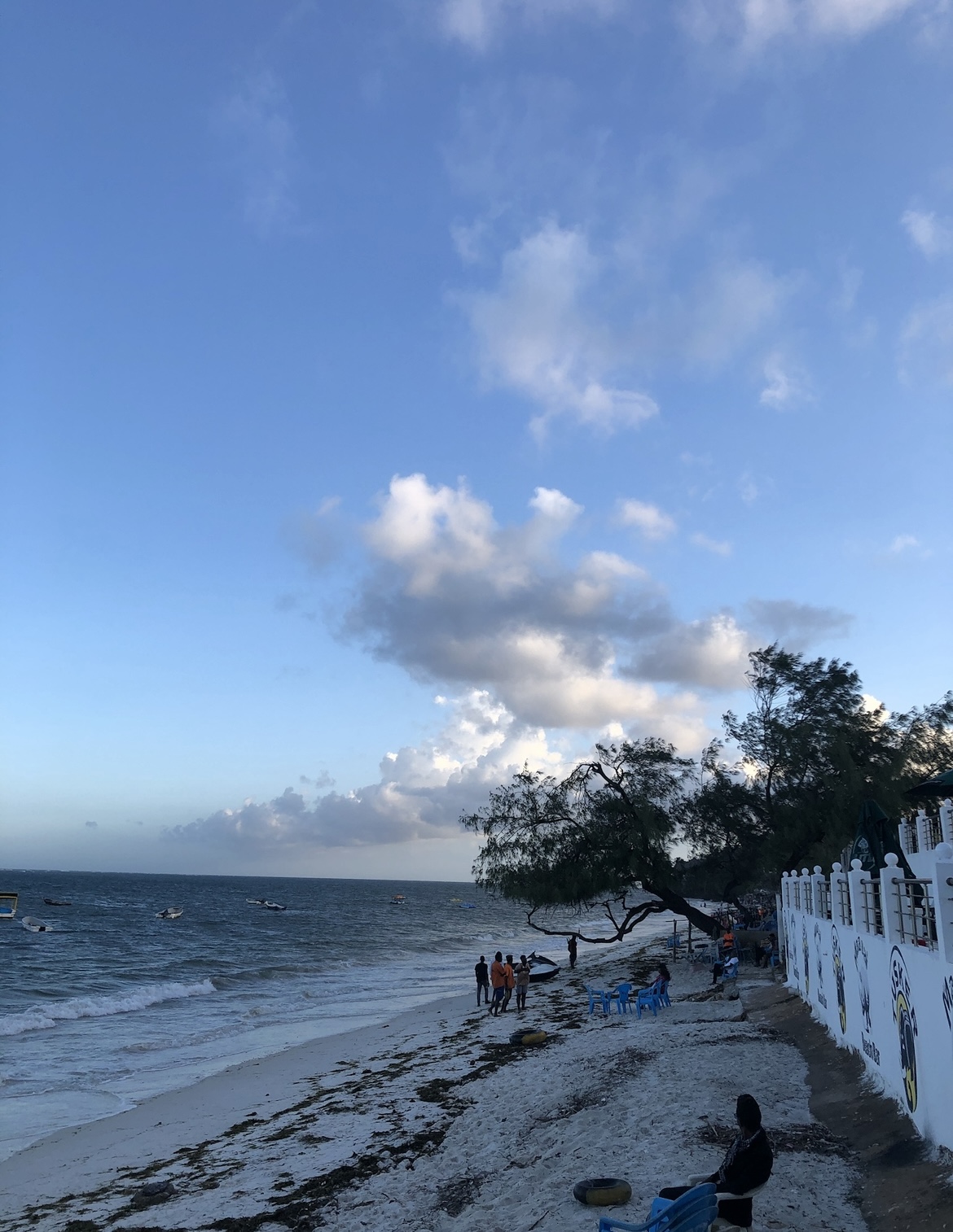 Brittany Lau | International Medical Aid (IMA) Alumni Interview